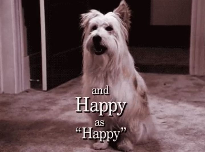 AutoReviewHub